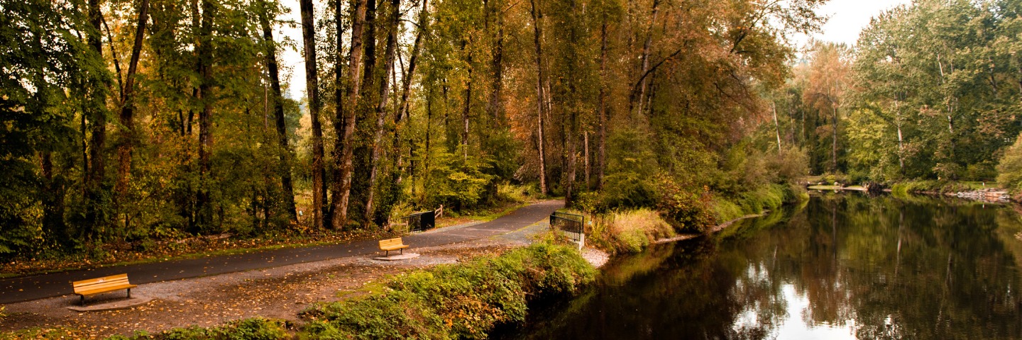 Citizen engagement platform | Bothell
