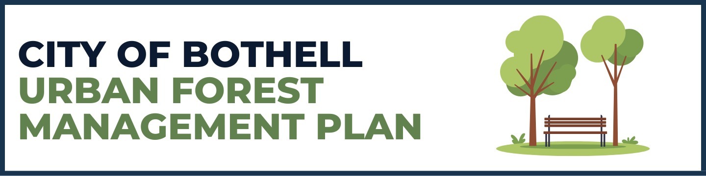 Project: Urban Forest Management Plan | Bothell