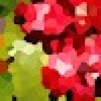 Citizen engagement platform | Bothell